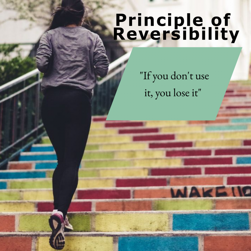 Principle of Reversibility - Fight The Fatigue